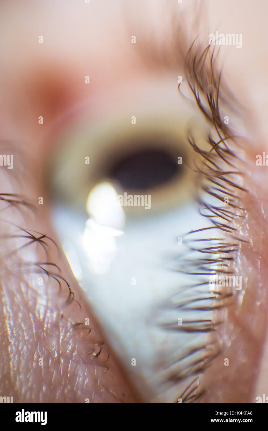 A beautiful closeup of a multicolored human eye with a shallow depth of ...