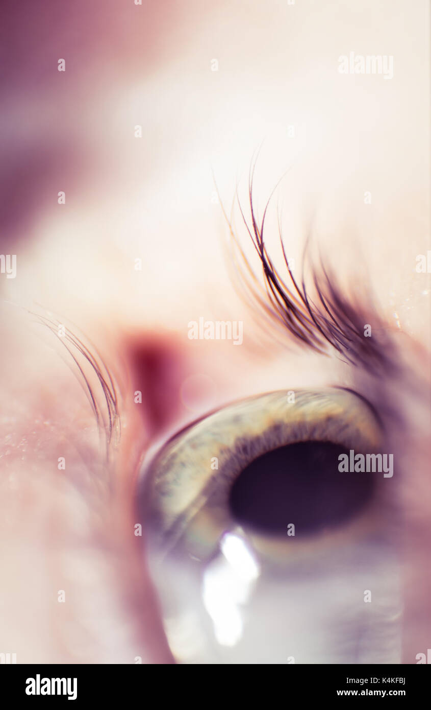 A beautiful closeup of a multicolored human eye with a shallow depth of ...