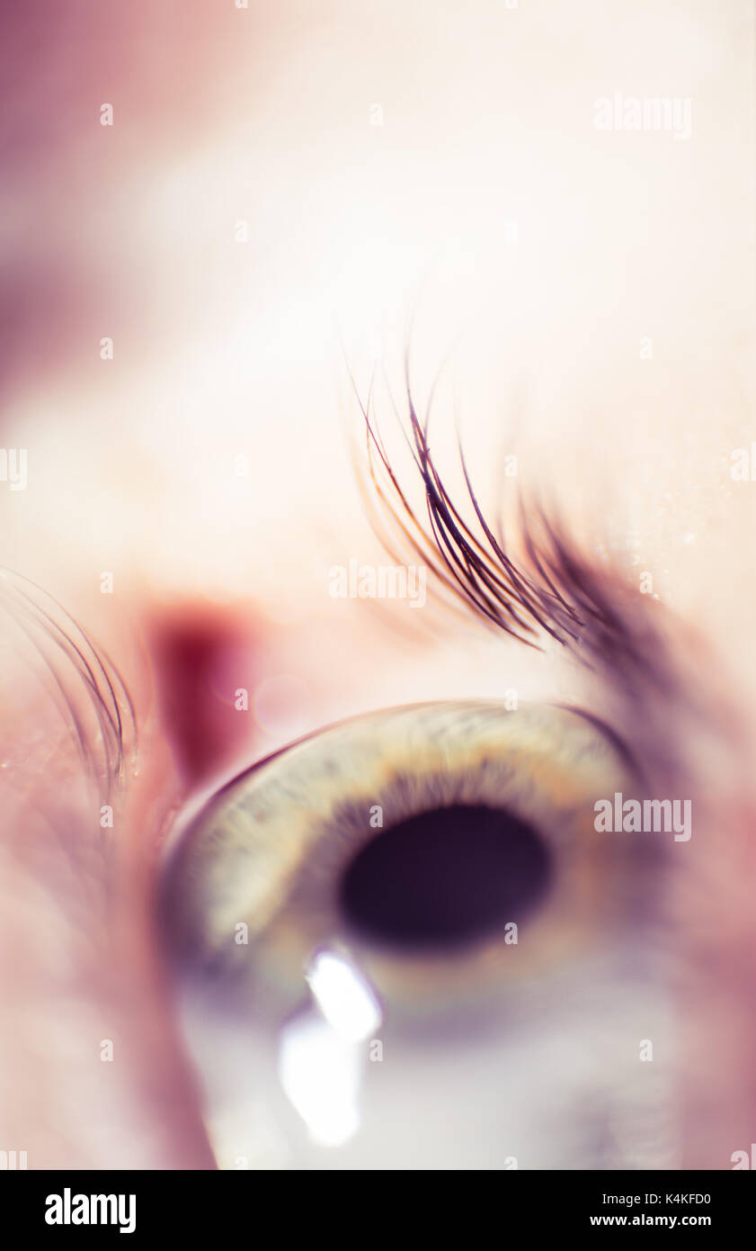 A beautiful closeup of a multicolored human eye with a shallow depth of ...