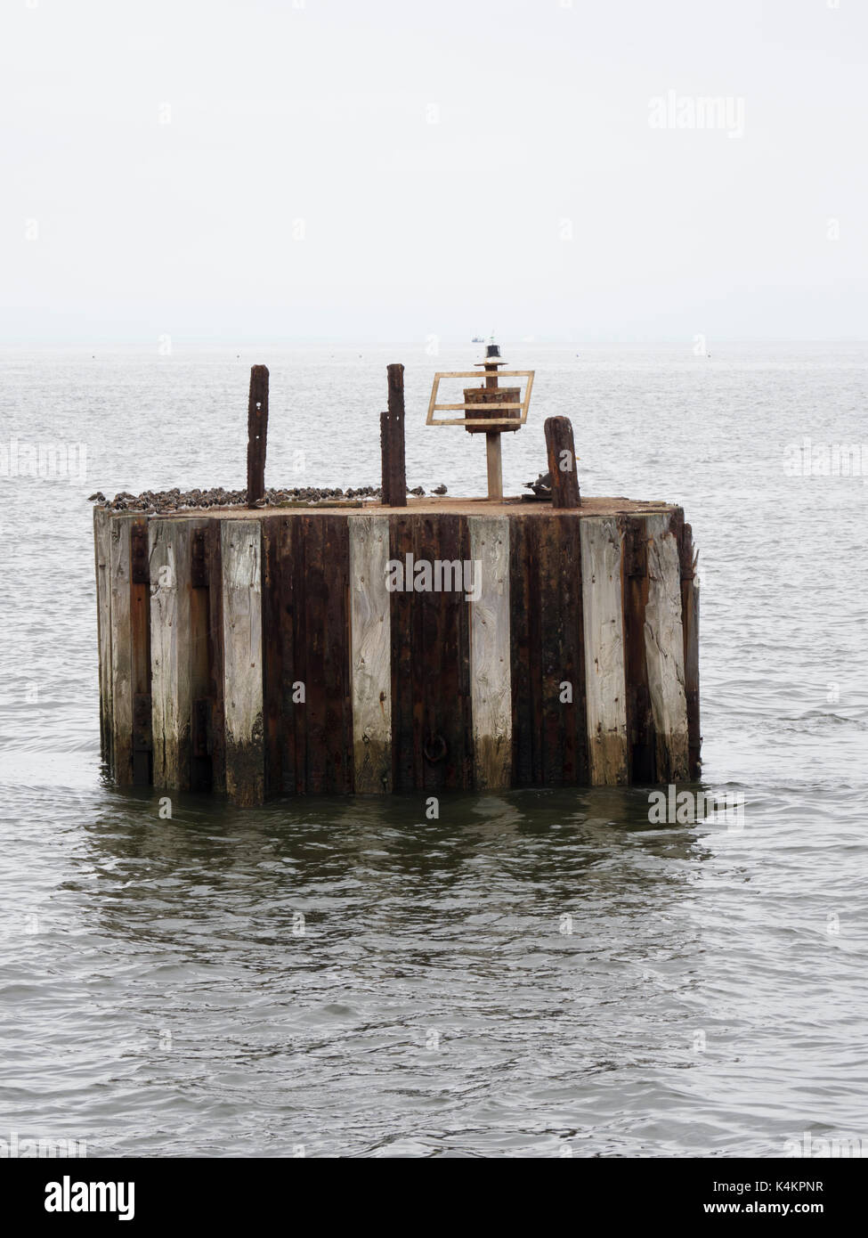 Whitstable harbour birds hi-res stock photography and images - Alamy