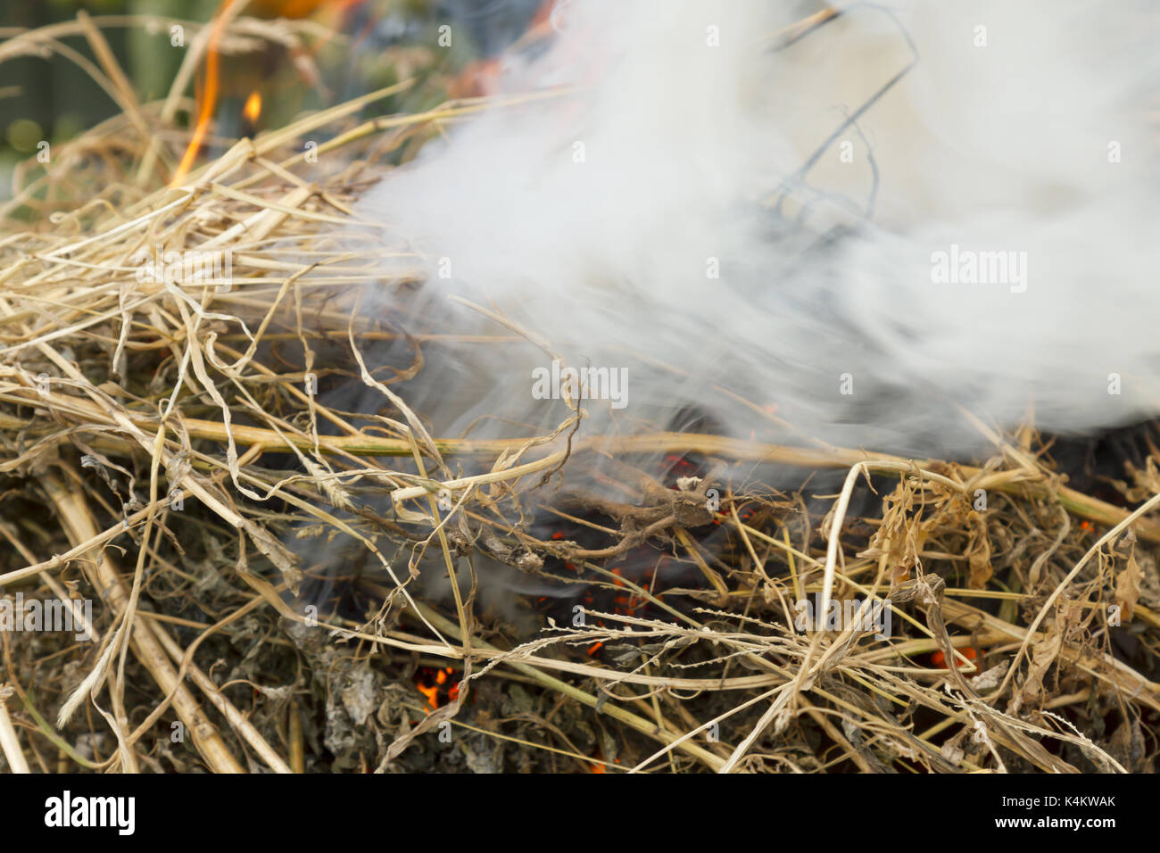 Fire Fire Burning Rice Straw High Resolution Stock Photography and ...