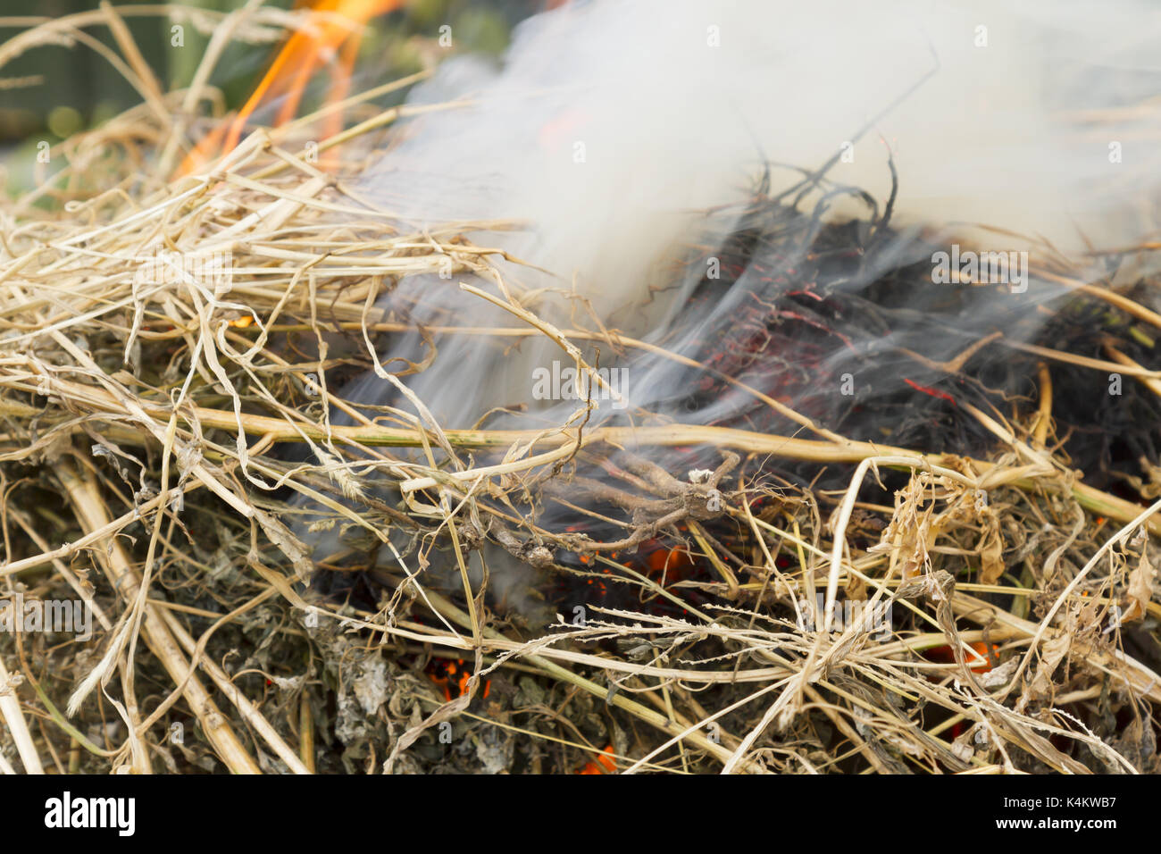 burning hay grass Stock Photo - Alamy