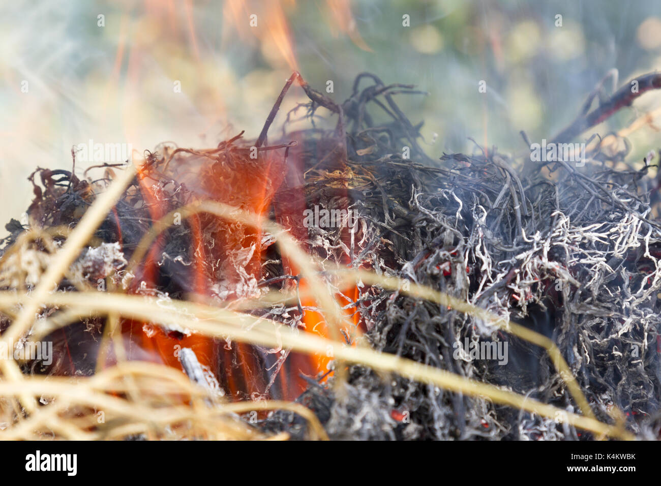 burning hay grass Stock Photo - Alamy