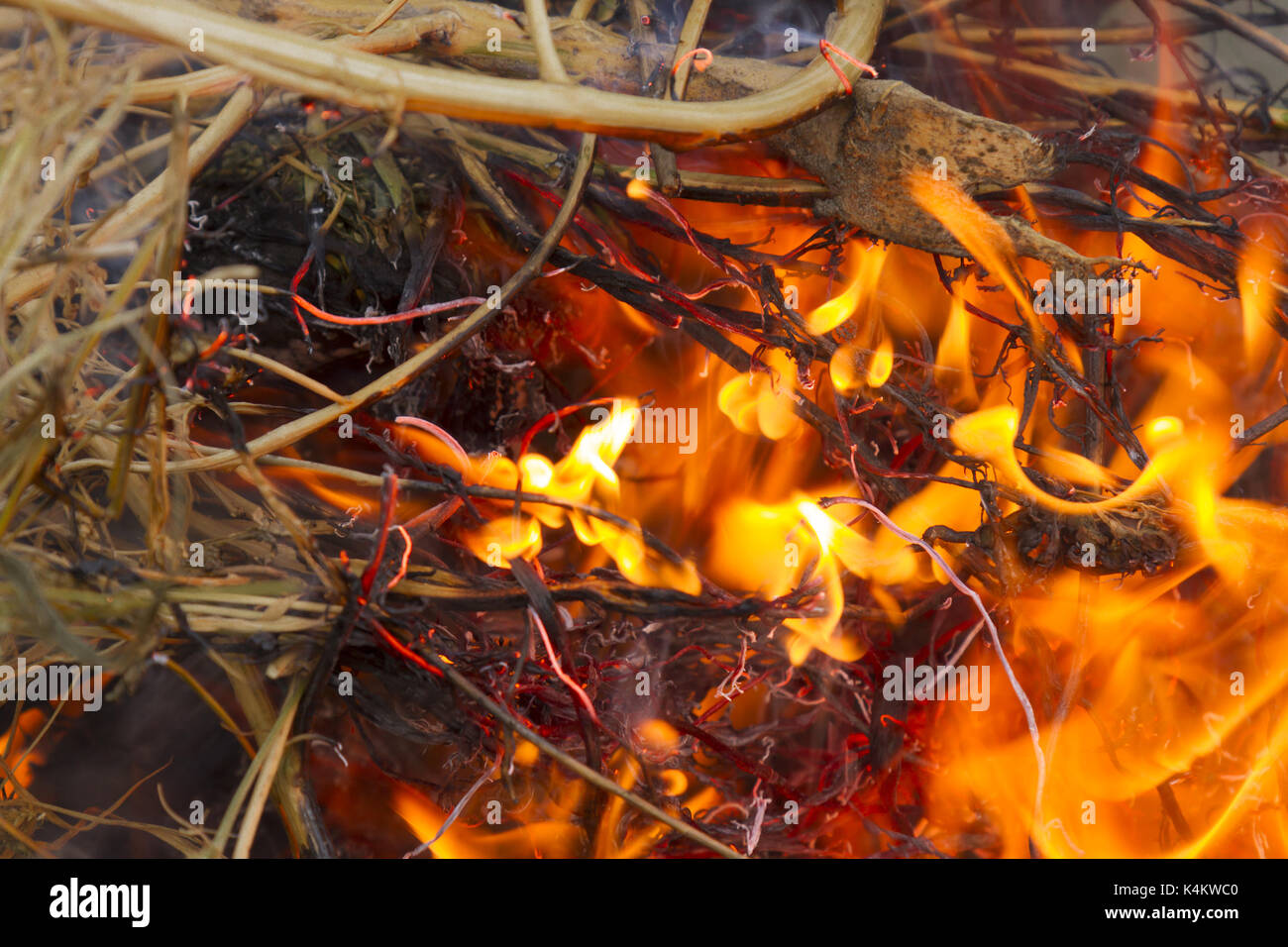 burning hay grass Stock Photo - Alamy