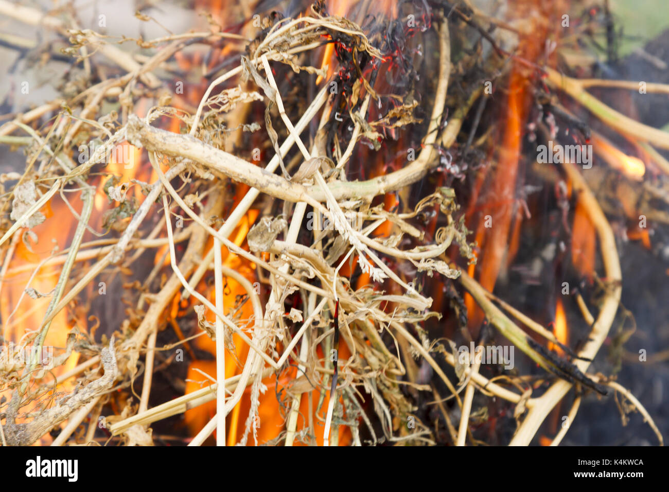 burning hay grass Stock Photo - Alamy