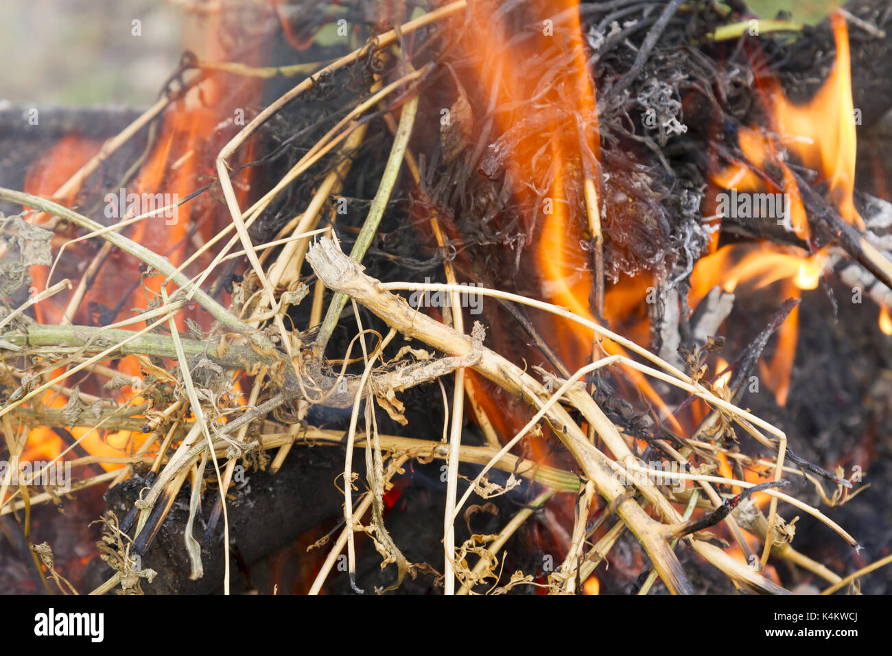 Hay Burning High Resolution Stock Photography and Images - Alamy