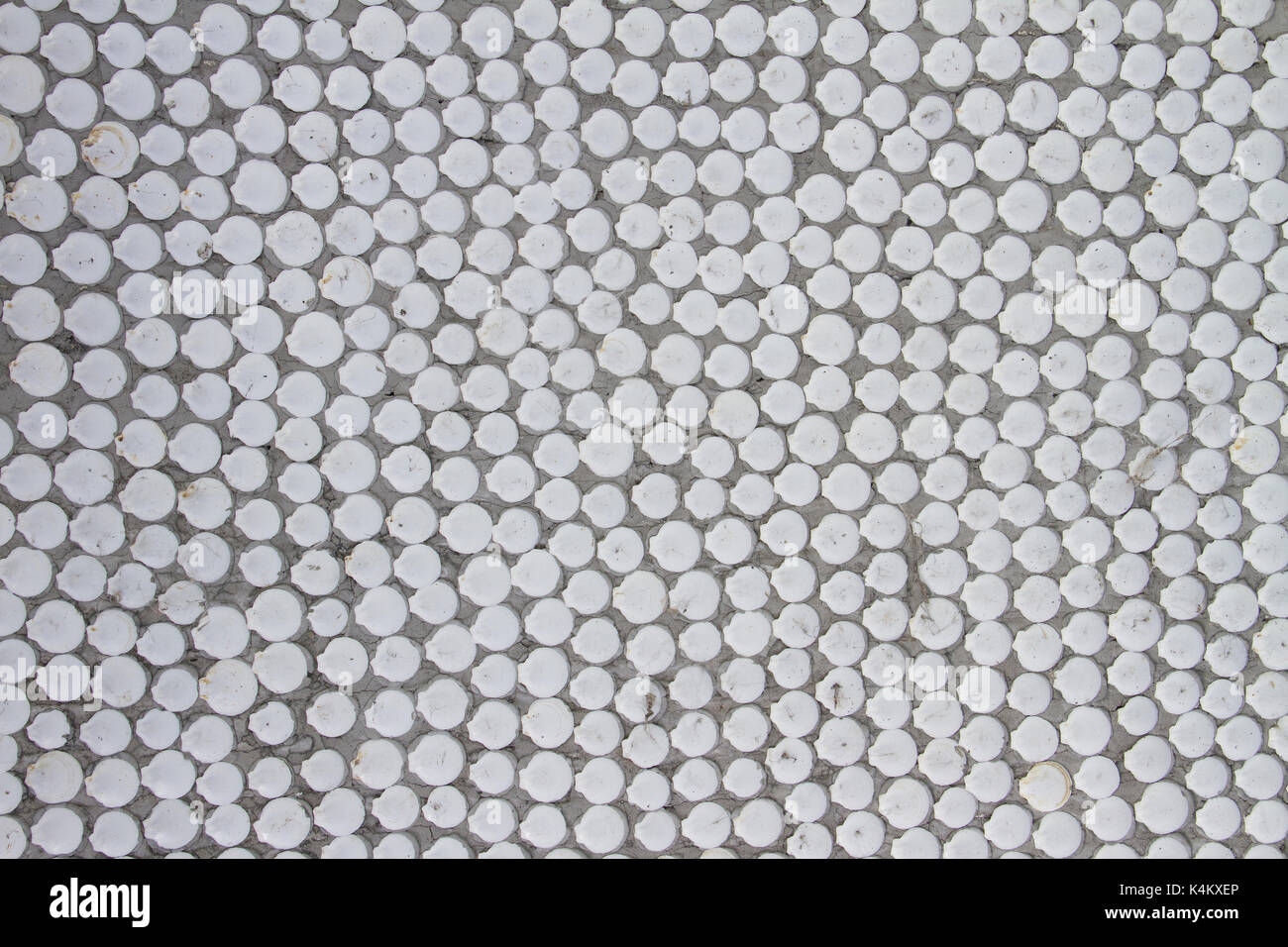 Sea shells on the plaster wall as a background Stock Photo - Alamy