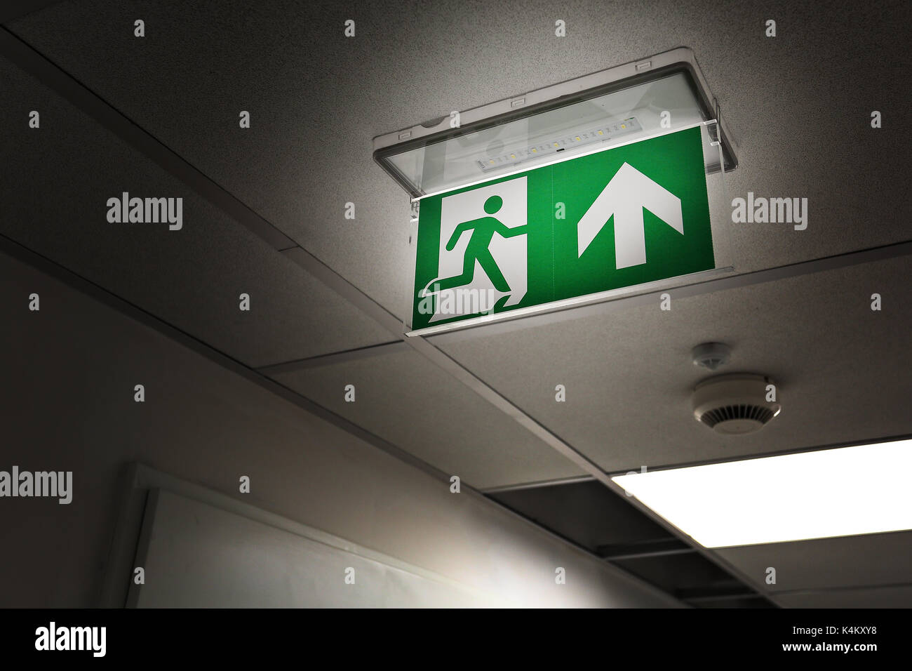Emergency exit at night in office Stock Photo - Alamy
