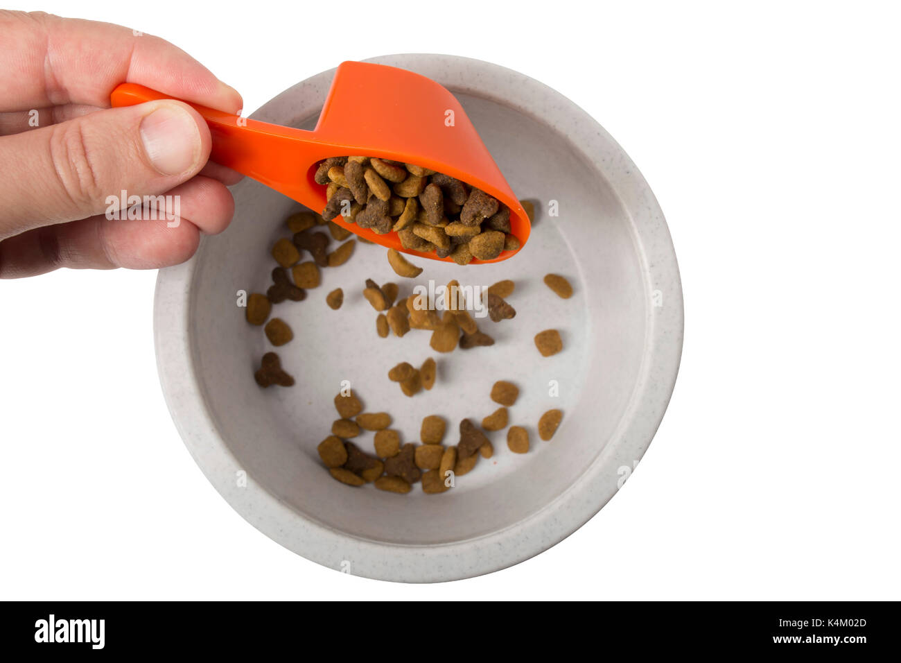 Dry cat food falling into a bowl from a scoop Stock Photo - Alamy