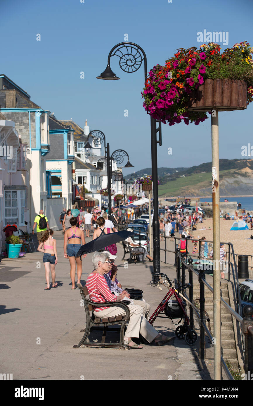 Lyme Regis, ancient town featured in the Domesday Book, with historical ...