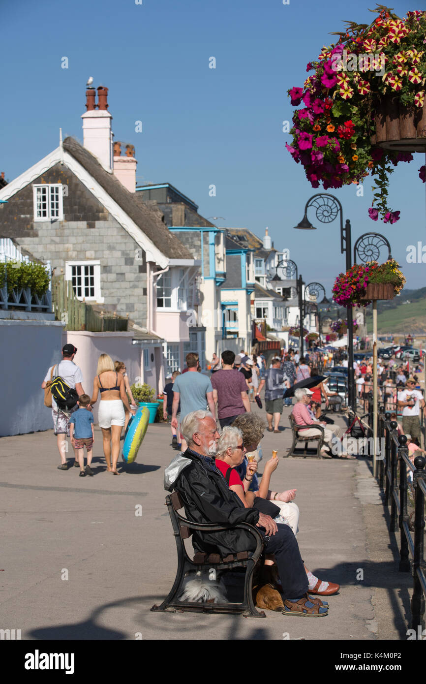Lyme Regis, ancient town featured in the Domesday Book, with historical ...