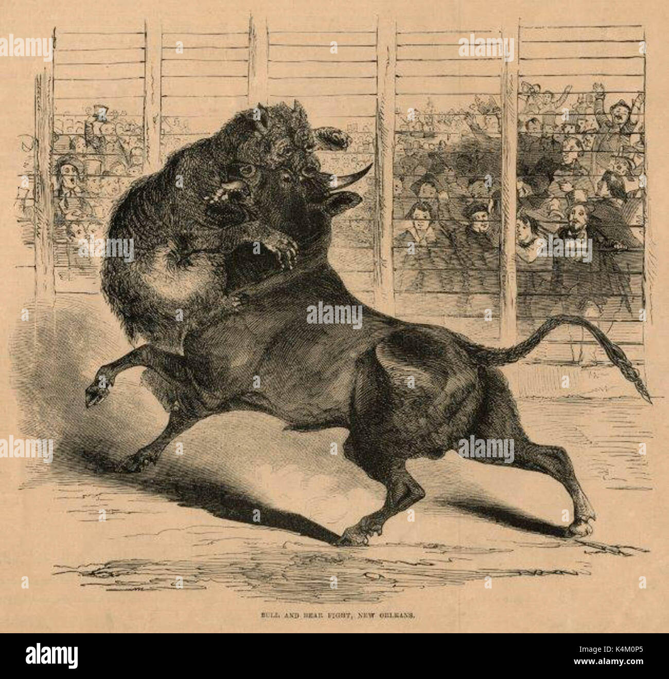 Bull Fight Ancient High Resolution Stock Photography and Images - Alamy