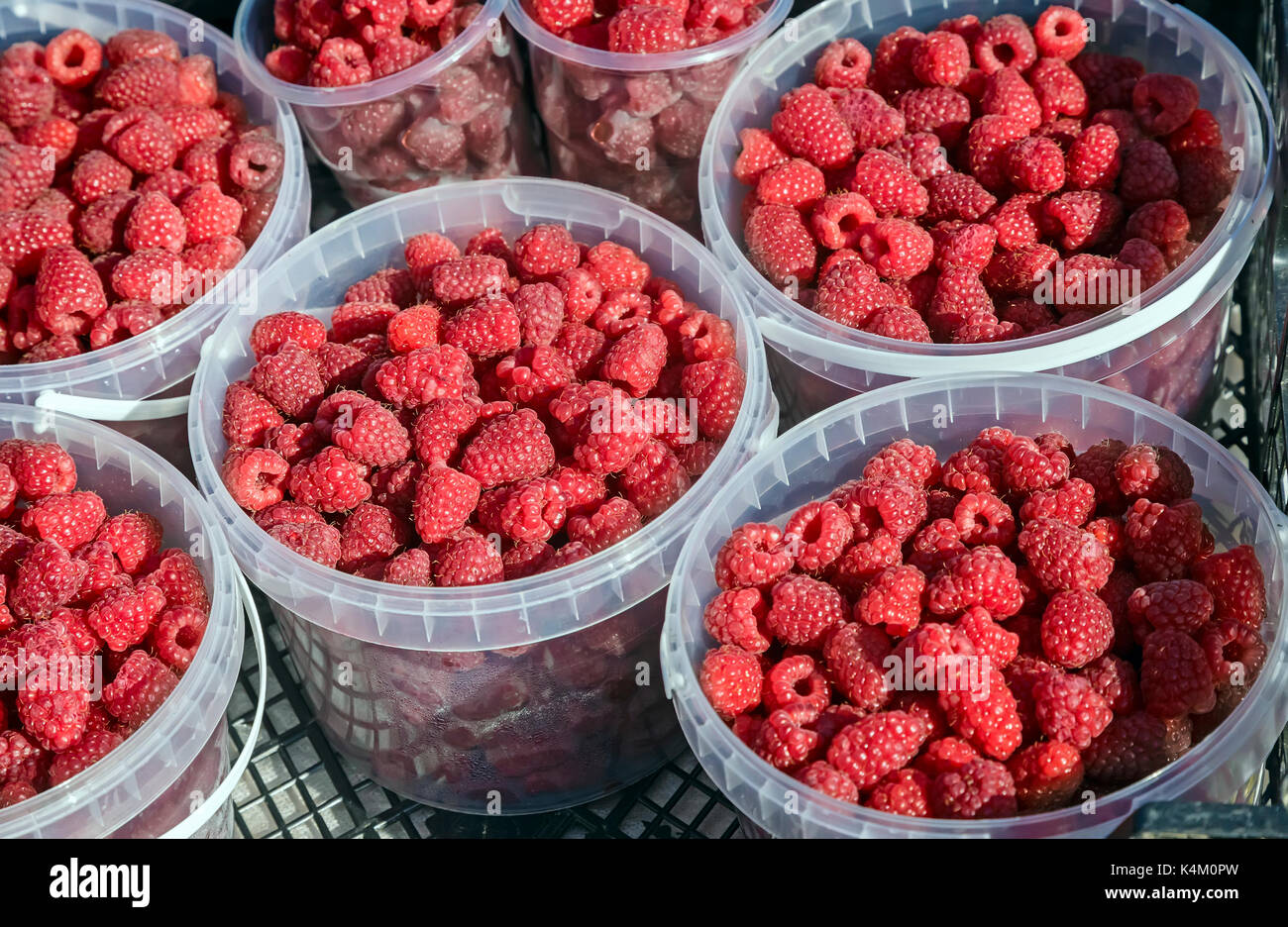 Raspberries in plastic containers Stock Photo - Alamy