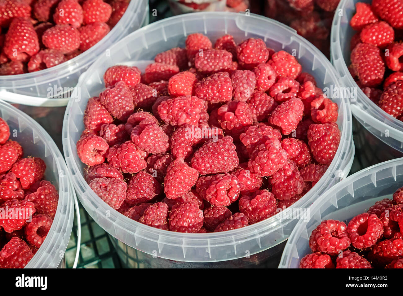 Raspberries in plastic containers Stock Photo - Alamy