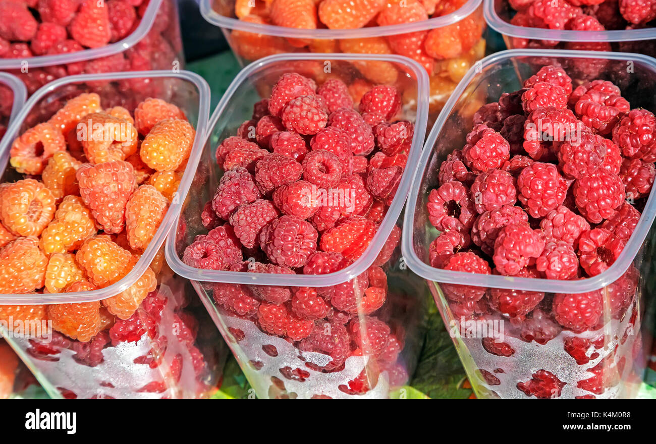 Raspberries in plastic containers Stock Photo - Alamy