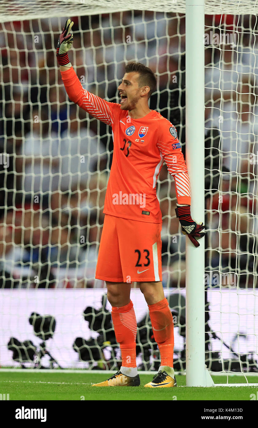 Slovakia goalkeeper hi-res stock photography and images - Alamy