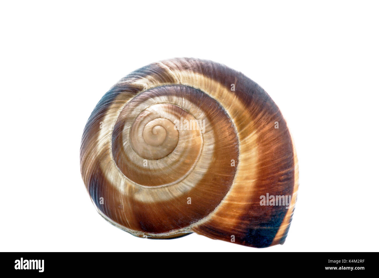 Helix Spire Cut Out Stock Images & Pictures - Alamy