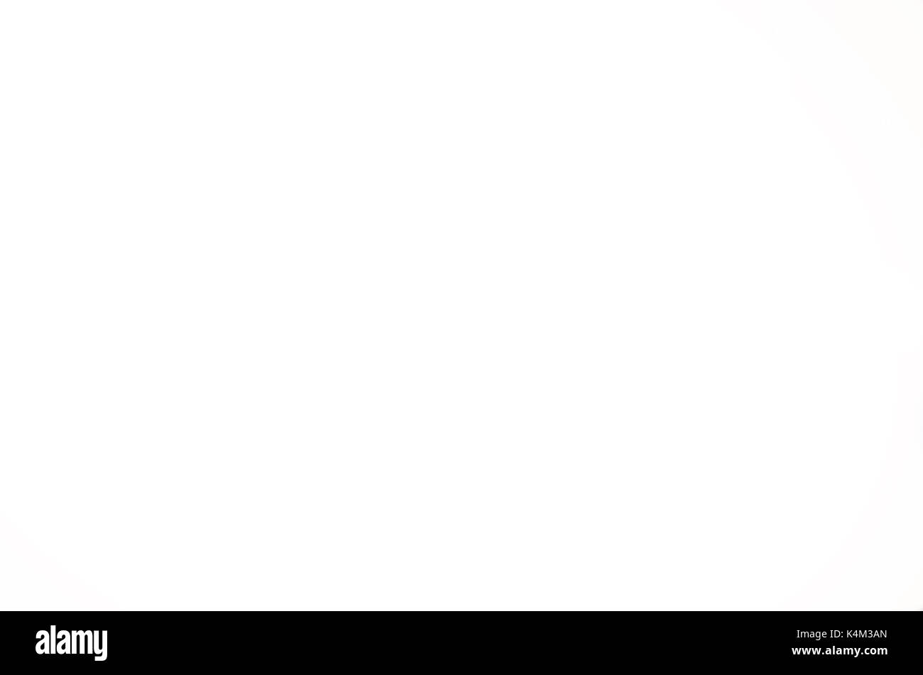 White gradient background vignette hi-res stock photography and images ...