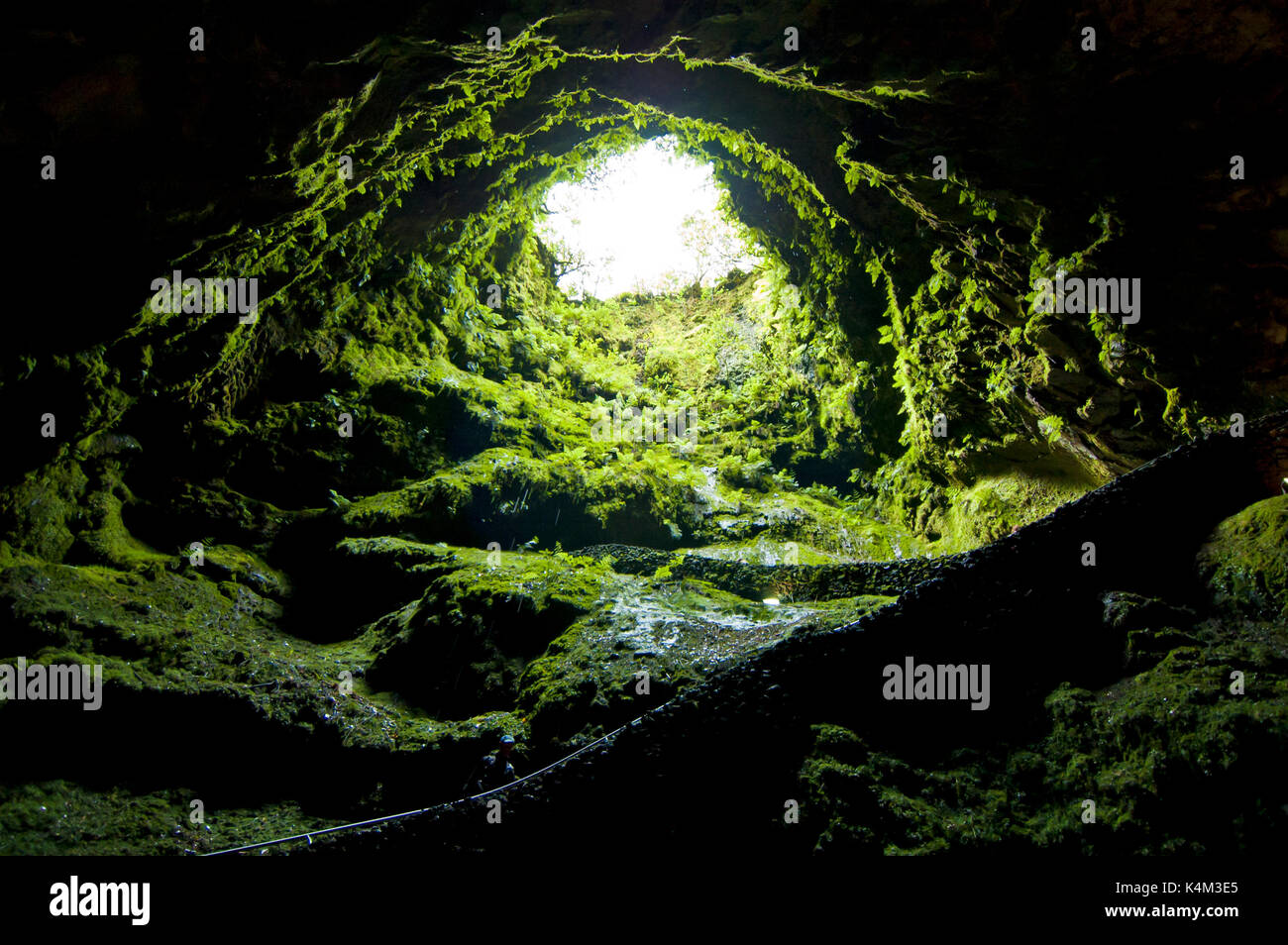 Volcanic chimney in the interior of the Algar do Carvão. Terceira ...