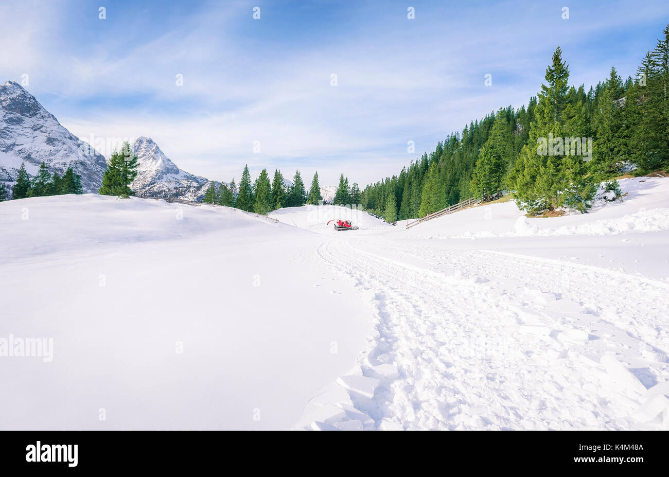 Winter landscape with the snowy peaks of the Alps mountains, the green ...