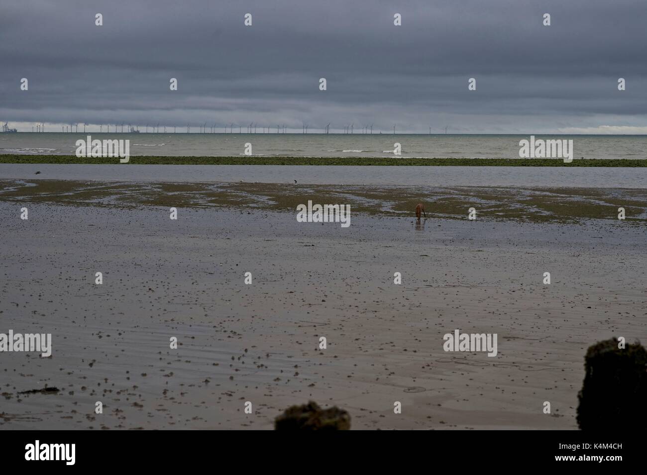 East preston beach sussex hi-res stock photography and images - Alamy