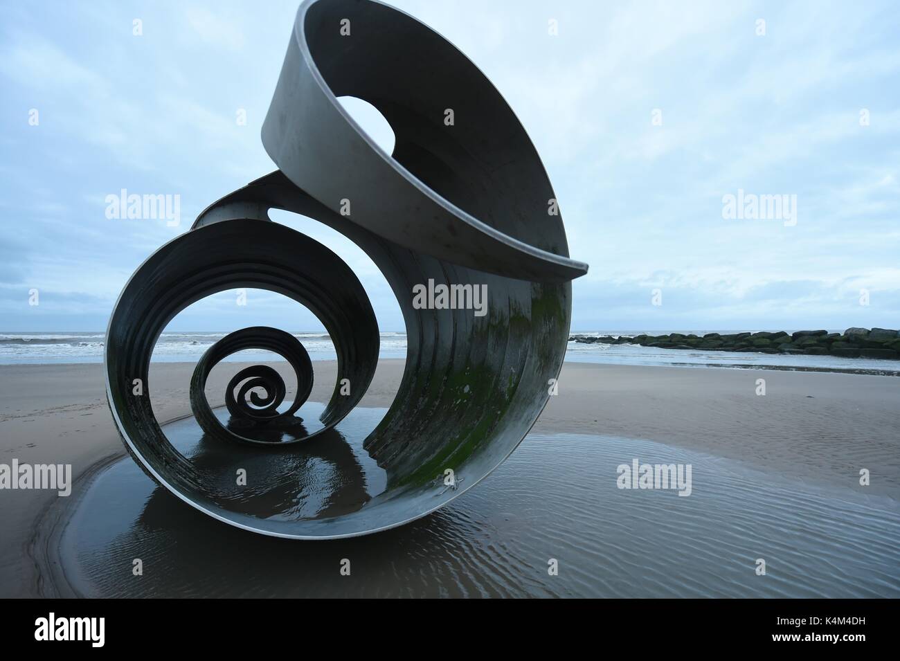 St Marys shell Stock Photo - Alamy