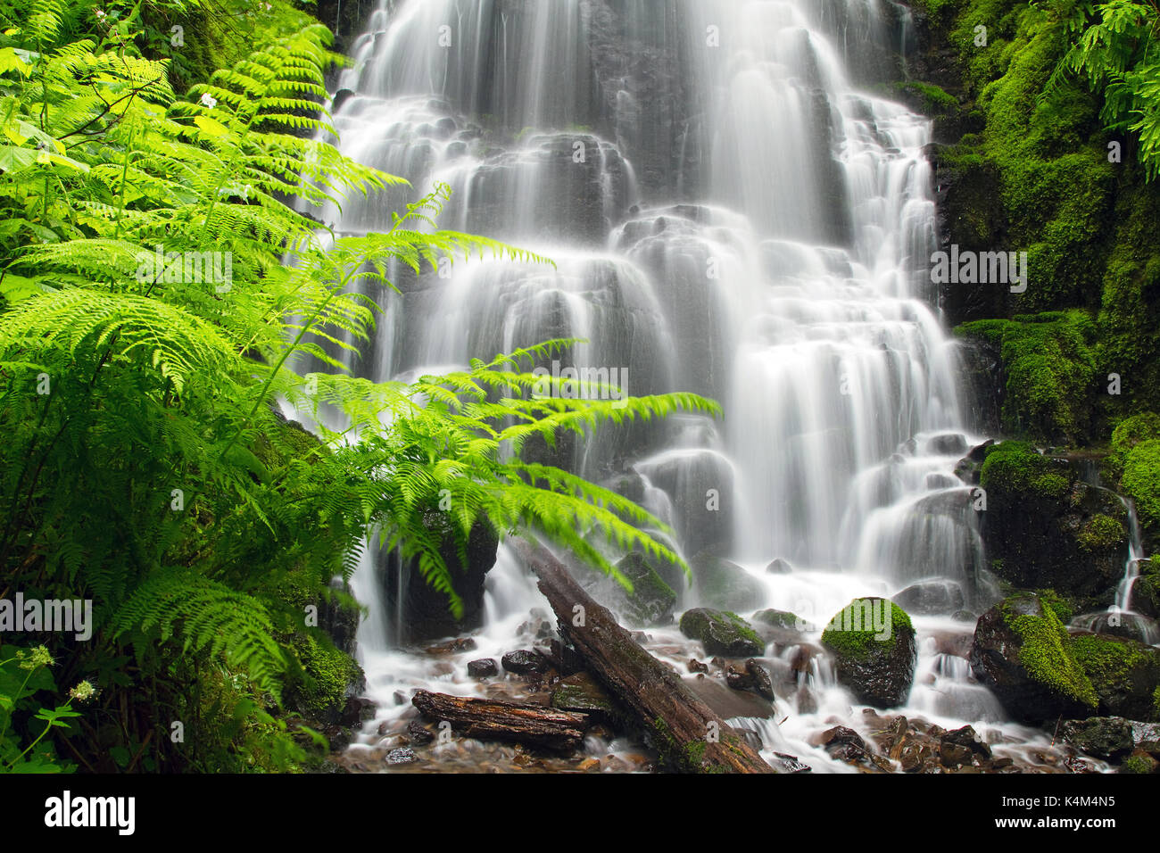 Fairy Falls, located in the Columbia River Gorge National Scenic Area ...