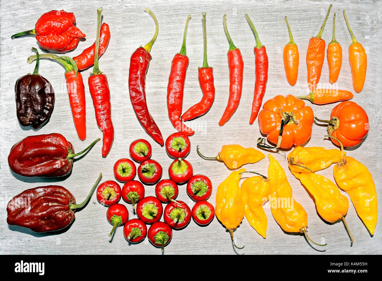 spicy chillies of various shapes and colors Stock Photo - Alamy
