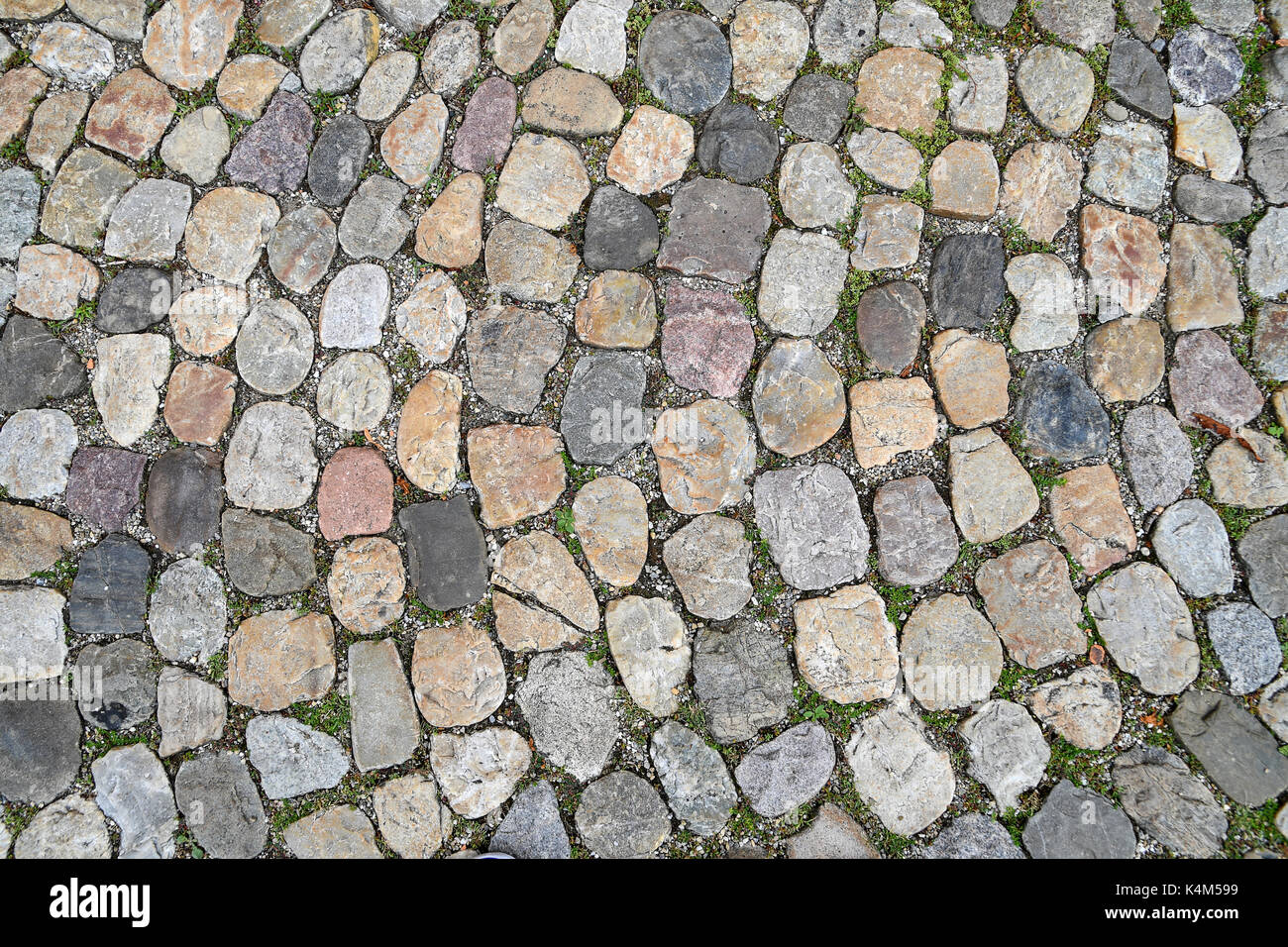 close up view of cobblestone pavement Stock Photo - Alamy