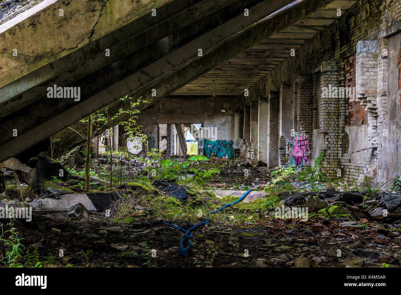 Old decayed building with green moss and trees growing inside Stock ...