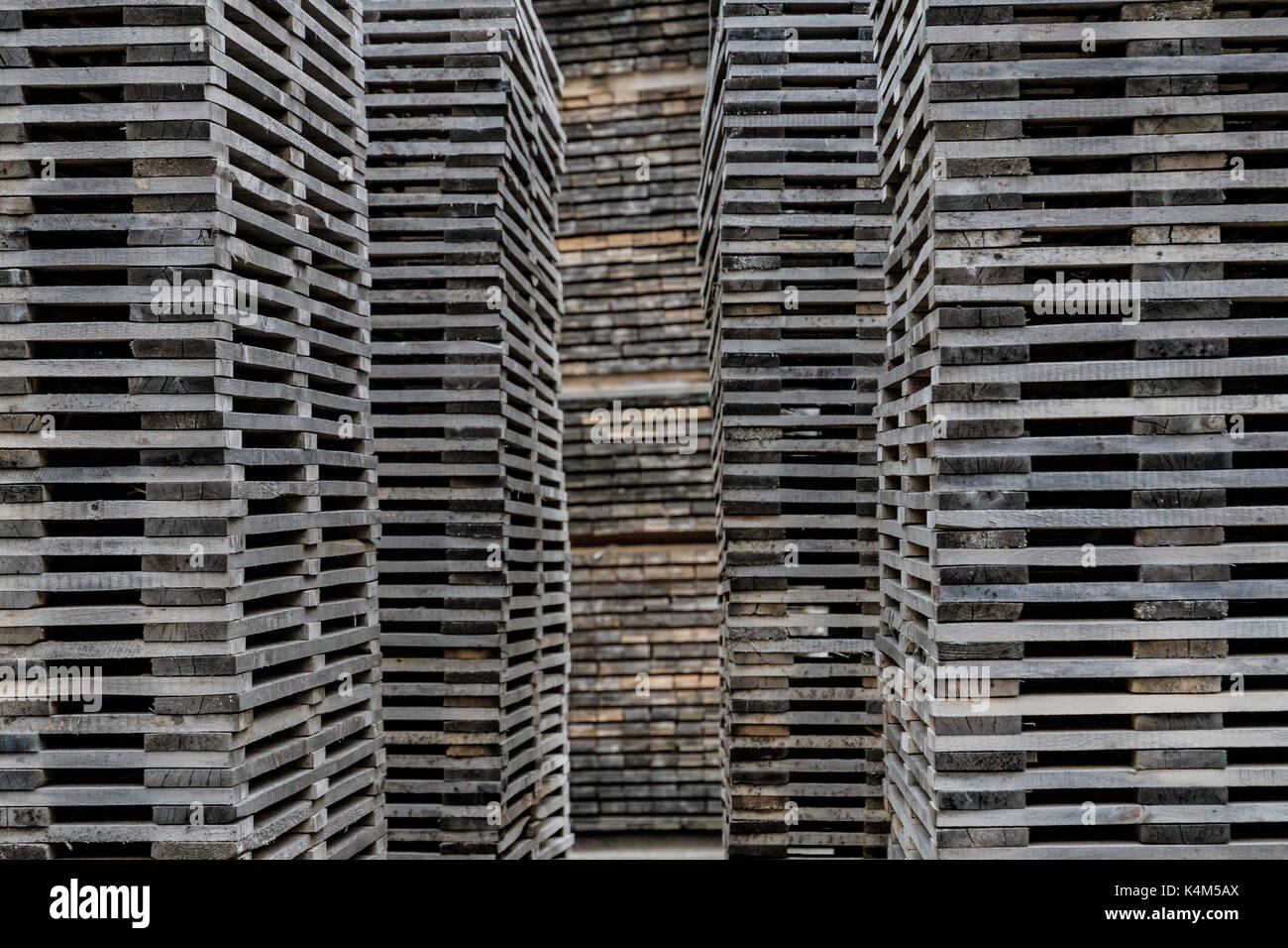 Plank piles hi-res stock photography and images - Alamy