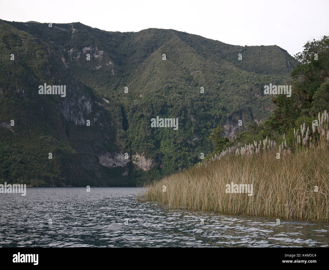 CUICOCHA, ECUADOR - 2017: Caldera and crater lake at the foot of ...