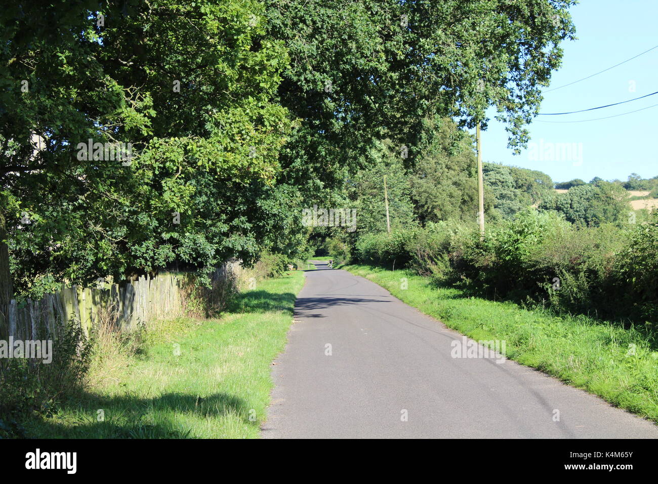 Country lane in summer Stock Photo - Alamy