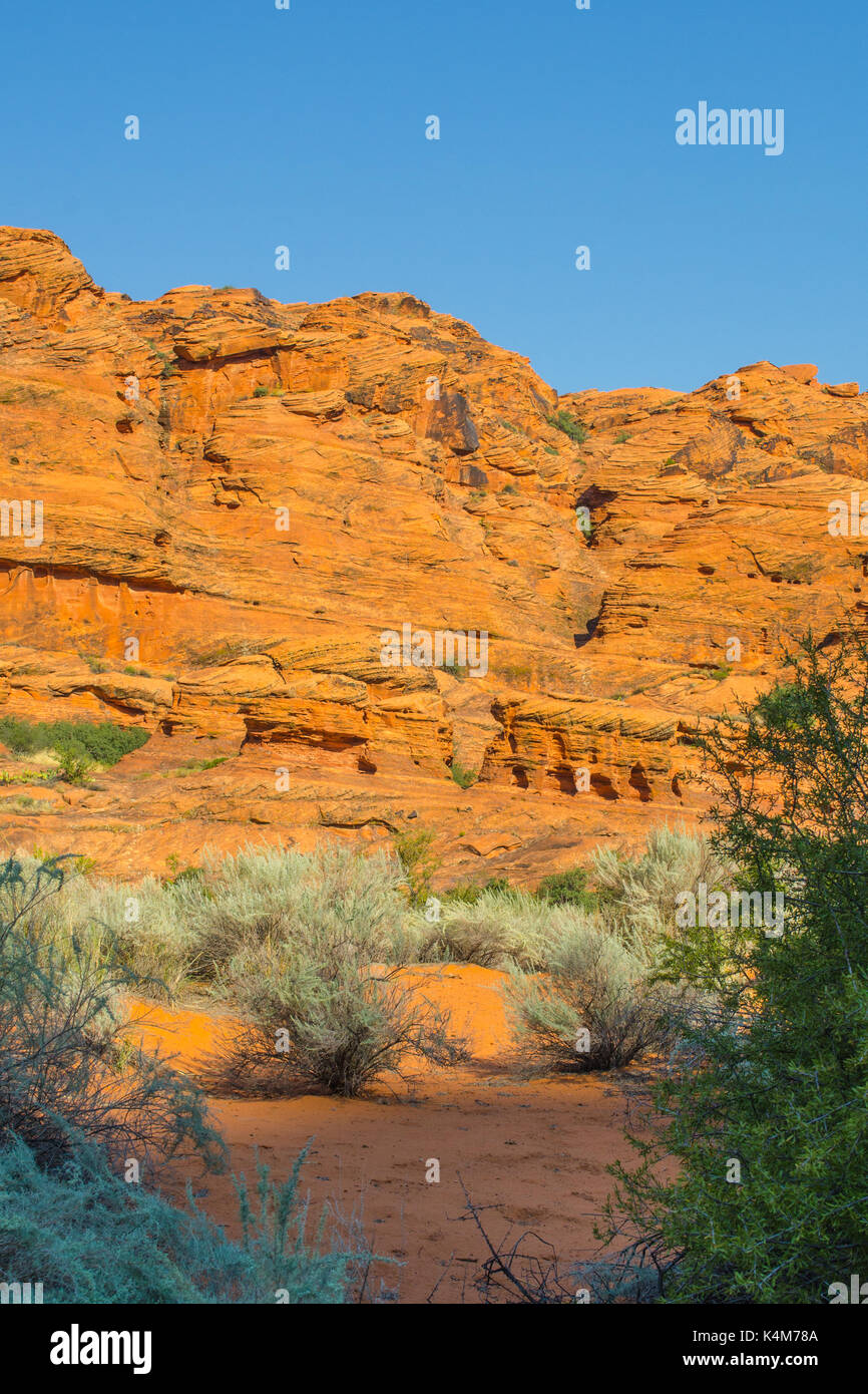 snow canyon state park,St. George, Utah Stock Photo - Alamy