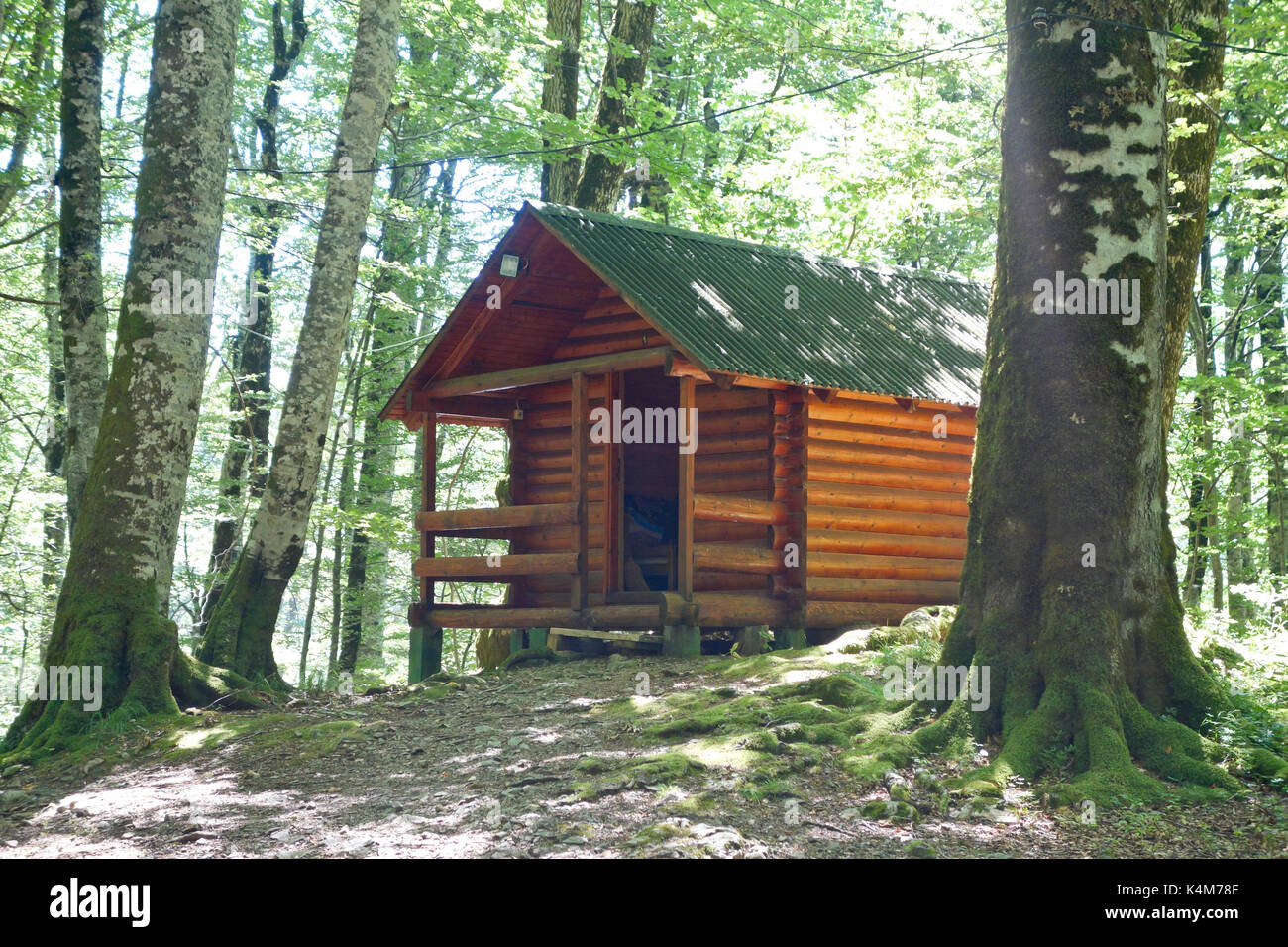 wooden house in a forest Stock Photo - Alamy