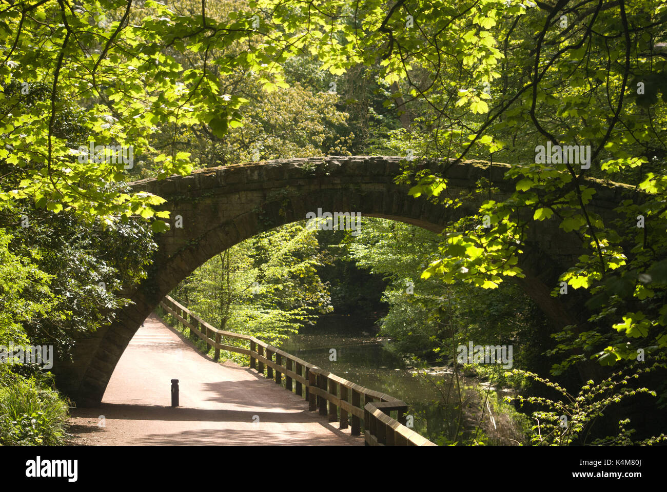 Jesmond dene summer hi-res stock photography and images - Alamy