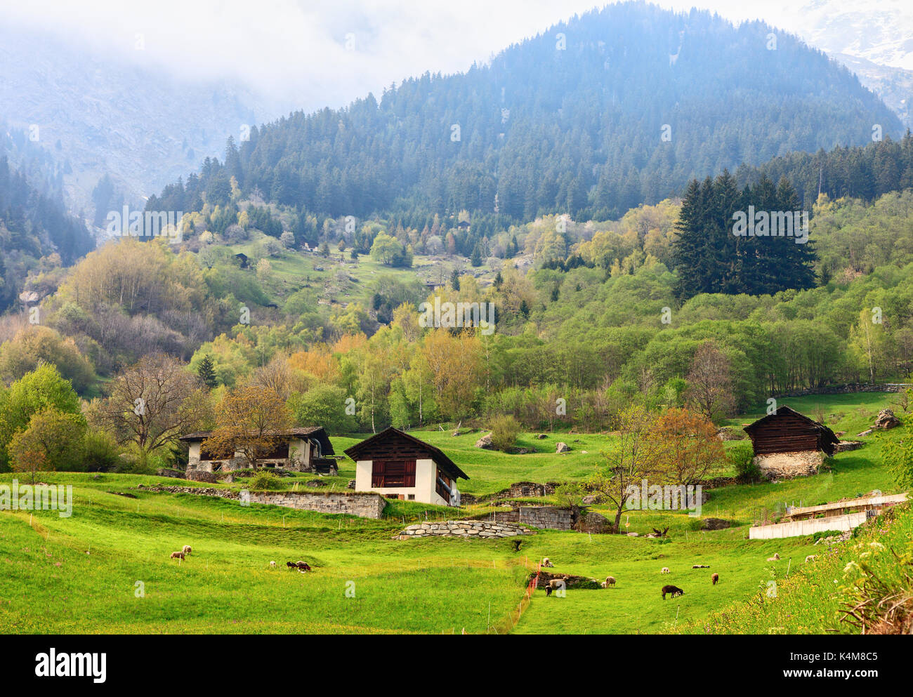 Farm in the Swiss alps, Valais, Switzerland Stock Photo - Alamy