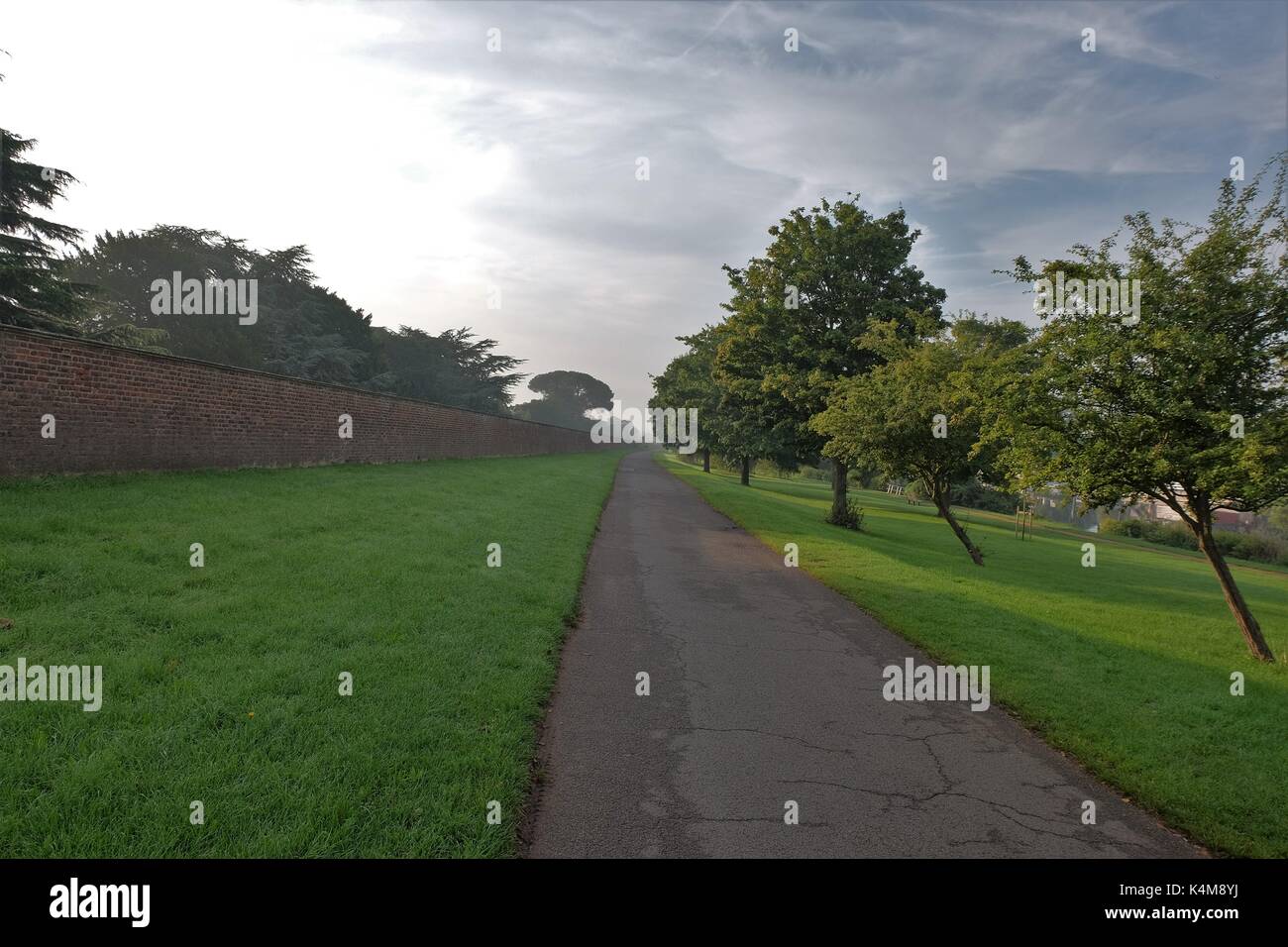 Bursts of red foliage hi-res stock photography and images - Alamy