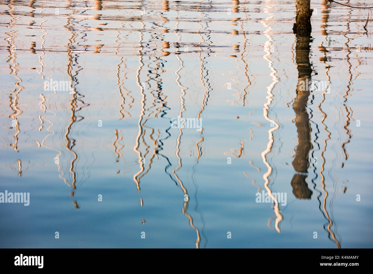 Water reflections, sailing boat masts shapes mirrored in a sea or ocean ...
