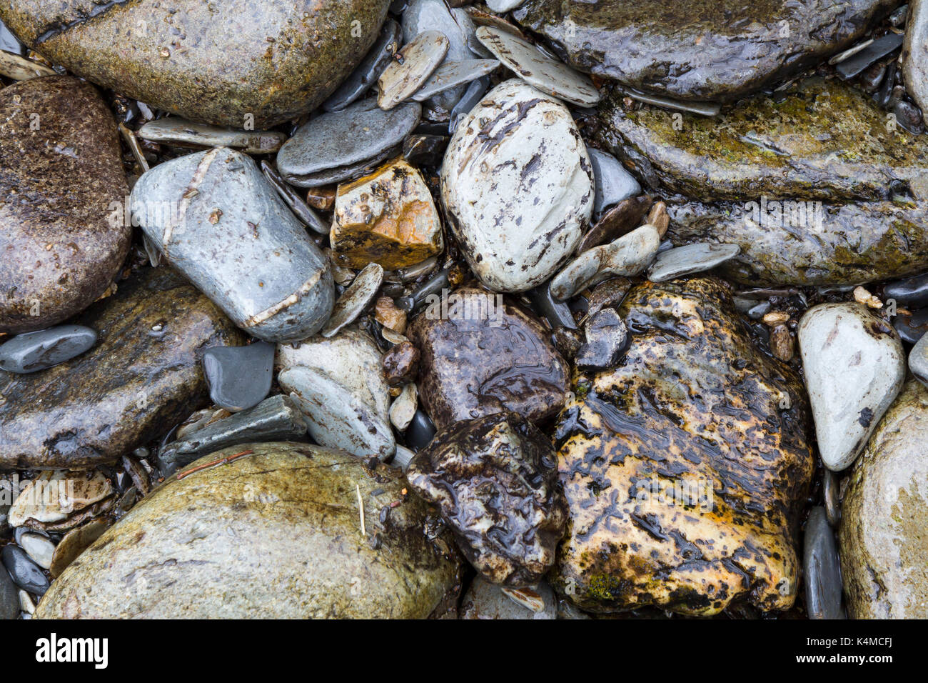 Pebbles and stones in a Welsh stream Stock Photo - Alamy