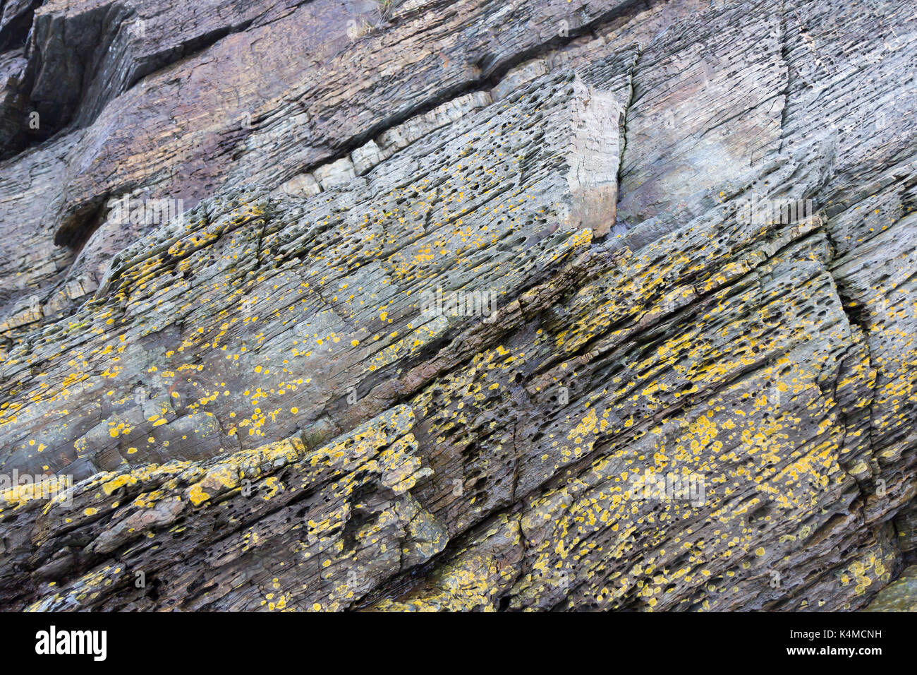 Welsh rock textures with cracks and lichen Stock Photo - Alamy