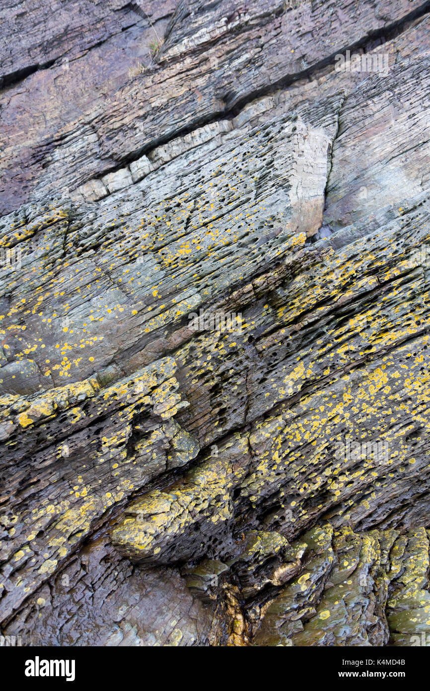 Welsh rock textures with cracks and lichen Stock Photo - Alamy