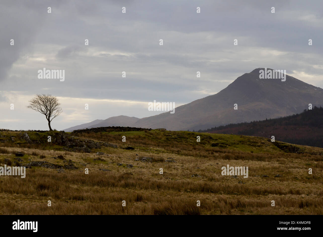 Spring time landscapes in Snowdonia National Park Stock Photo - Alamy