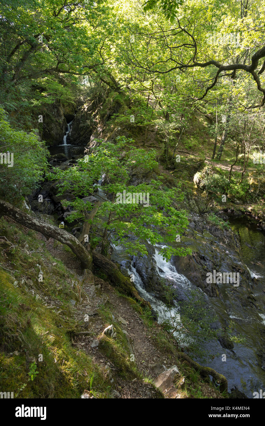 Nantcol Stock Photos & Nantcol Stock Images - Alamy