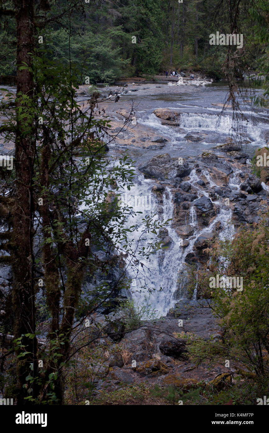 Englishman River Falls, Englishman River Falls Provincial Park ...