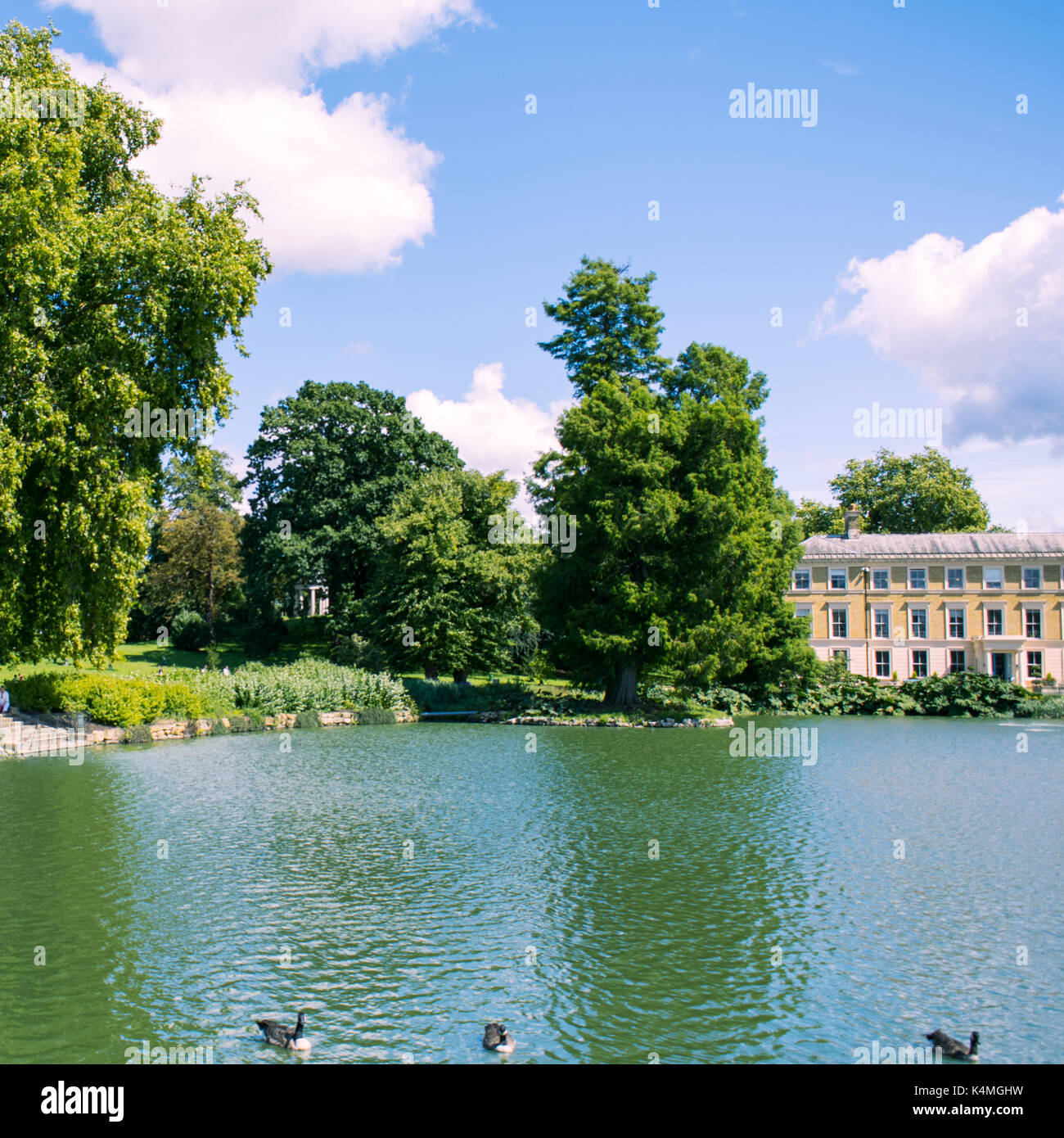 Tranquil plants hi-res stock photography and images - Alamy