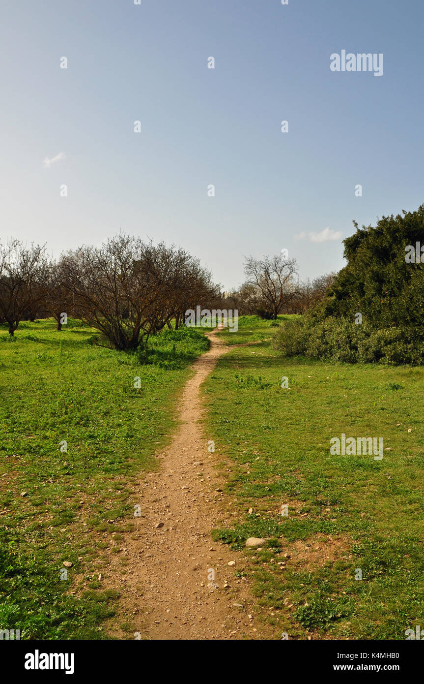 Crooked trail footpath through park. Green grass and blue sky landscape ...