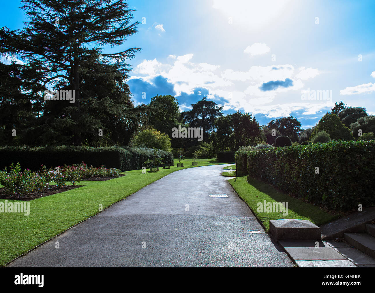 Grass garden kew gardens hi-res stock photography and images - Alamy