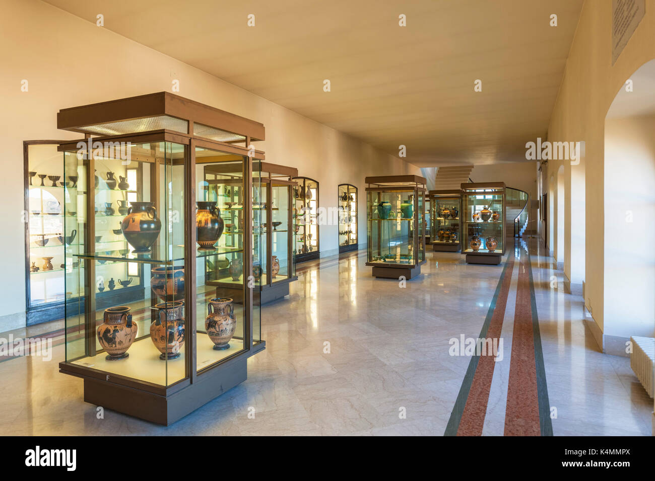 Empty Museum Display Case