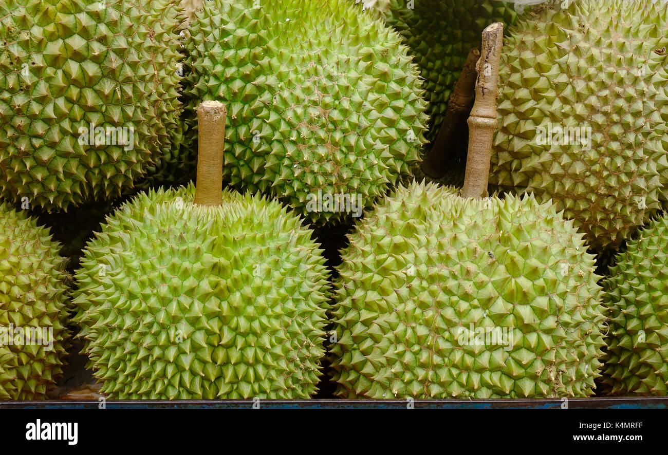 Raw durian fruits for sale at rural market in Bangkok, Thailand Stock ...